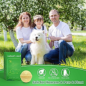 36 Pack Natural Mouse Repellent Peppermint Oil to Repel Mice and Rats, Rodent Repellent Balls for Car Engines Home Indoor & Outdoor, Mice Squirrel Deterrent Pet & Humans Safe