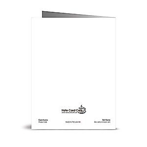 Note Card Cafe All Occasion Greeting Card Set with Gray Envelopes | 24 Pack | Blank Inside, Glossy Finish | Unique Lion on Gold Print Design | Bulk Set for Greeting Cards, Occasions, Birthdays