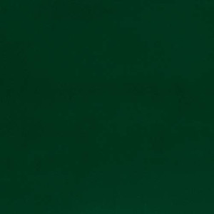 RSH Décor Outdoor Single Tempotest Foam Adirondack Chair Cushion Weather Resistant, (Classic Hunter Green)