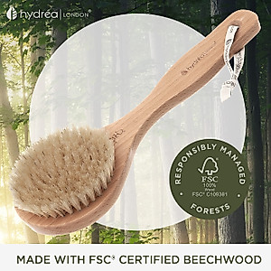 Hydrea London Dry Body Brush –Short Handle Premium Exfoliating Dry Skin Brush with Natural Bristle, FSC® Certified Beechwood.