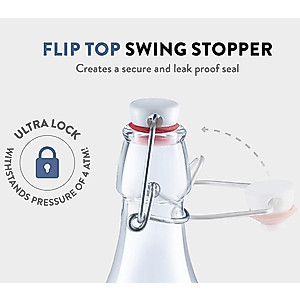 Bormioli Rocco Fiaschetta Glass 8.5 Ounce Pocket Flask, Set of 4