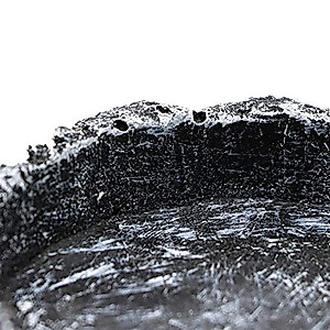 MINYULUA 2 Pack Reptile Water Dish Rock Worm Feeder Bowl Pet Feeding Tray for Tortoise, Gecko, Turtle, Snake, Lizard, Spider, Chameleon