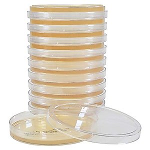Tryptic Soy Agar (TSA), USP, a General Growth Medium for Microorganisms, 10 Plates Per Pack, by Hardy Diagnostics