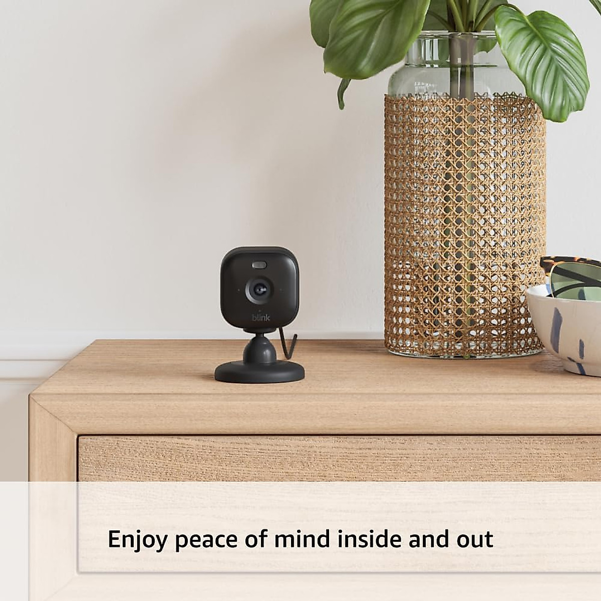 Blink Mini 2 (Newest Model) + Weather Resistant Adapter — Indoor/Outdoor Home Security & Pet Camera(s) with HD video, motion detection, and built-in spotlight — 2 cameras (Black)