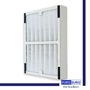PUREBURG IAF-H-100A True HEPA Replacement Filter Kit Compatible with Idylis IAF-H-100A AC-2119 IAPC-10-140 IAP-10-100 IAP-10-150 Air Purifiers, H13 Activated carbon Pre-Filter Air Clean Dust VOCs