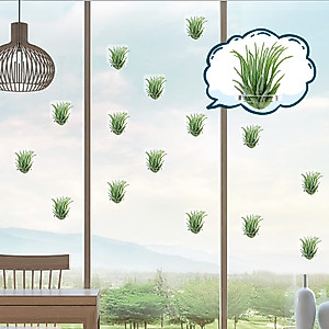24 Pcs Air Plants Holder, Acrylic Air Plant Hanger with Mounting Tape for Hanging Air Plants on Glass Display Home Decoration, Plants Not Included