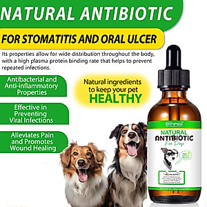 2 Pack Natural Antibiotics for Dogs - Pet Antibiotic - Healing Aid and Skin Repair for Wounds, Sores, and Abrasions, Provides Itch Relief for Irritated Skin - Duck Flavor