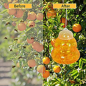 2 Pack Wasp Trap Outdoor Hanging, Bee Trap for Outside, Hornet Traps, Carpenter Bee & Yellow Jacket Killer for Garden, Insect Traps for Flies and Bugs
