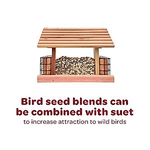 Kaytee Wild Bird Seed & Mealworm Seed Cake Food For Bluebirds, Chickadees, Woodpeckers and More, 1.4 Pound