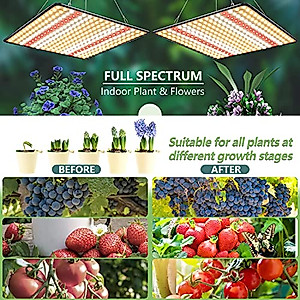 BAVIHOR Grow Light, (2-Pack) 200W LED Grow Lights for Indoor Plants Full Spectrum Plant Growing Lamps for Seedling Veg and Bloom