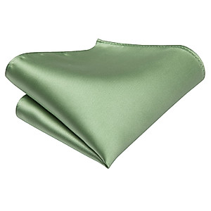 Hi-Tie Men Ties Sets Silk Stripe Paisley Necktie Pocket Square Cufflinks for Business Wedding,Sage Green