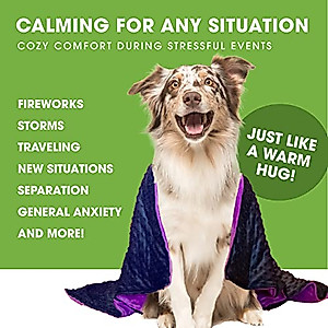 BARMY Weighted Blanket for Dogs with Washable Cover (3 Sizes) Thunder Blankets for Dogs, Water-Resistant Inner Blanket, Calming Aid for Dogs for Travel, Anxiety & Weather