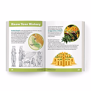 The Renal System: You've got to be Kidney - Adventure 4 (Systems of the Body)