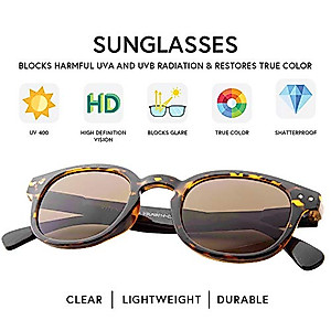 VITENZI Sunglasses for Men and Women Trendy and Cool Sun Glasses, Retro Vintage Round Shades Lucca in Tortoise