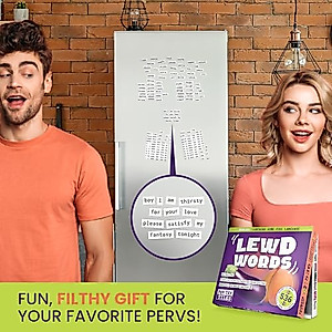 Poetry Tiles - 536 Really Dirty Words Refrigerator Magnets for Adults - Sexy Word Magnets & Funny Magnets for Adults - Make Refrigerator Poems and Stories with Funny Fridge Magnets Adult Themed Kit