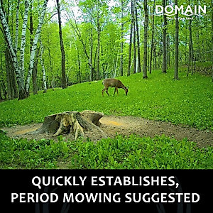 Domain Outdoor Hot Chic Food Plot Seeds for Deer, Chicory - 2 Varieties of Clover, Great to Plant in Spring or Fall, Hardy Mixture of PH Tolerant Perennials, Can Last Several Years, 1/2 Acre