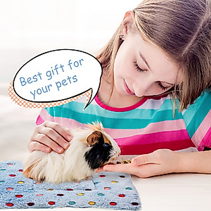 Jetec 3 Pcs Bunny Beds Guinea Pig Beds Soft Bunny Mats Warm Guinea Pig Mat Small Animal Winter Bed Pads Fleece Sleeping Pads for Indoor Rabbit Hamster Squirrel Hedgehog Chinchilla Ferret(Dots)
