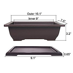 MUZHI 3PCS Large Rectangular Bonsai Tree Pots Planters with Tray 10"
