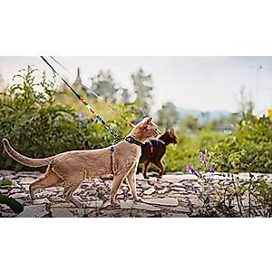 pidan Cat Harness and Leash Set, Cats Escape Proof - Adjustable Kitten Harness for Large Small Cats, Lightweight Soft Walking Travel Petsafe Harness（(Multicolor）