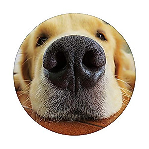 Golden Retriever Dog Gold Nose PopSockets PopGrip: Swappable Grip for Phones & Tablets
