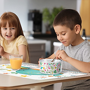 Counterart Flamingos Double Wall Insulated Unbreakable Plastic Travel Bowl with Lid Holds 22 Fluid Ounces BPA Free Microwave Safe Dishwasher Safe