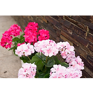 Mumiko 2PCS 18" Artificial Geraniums Silk Flowers Outdoor UV Resistant Garden Plants Bush Light Pink