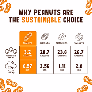 PBfit All-Natural Peanut Butter Powder, Powdered Peanut Spread From Real Roasted Pressed Peanuts, 8g of Protein 8% DV, 30 Ounce (Pack of 1)