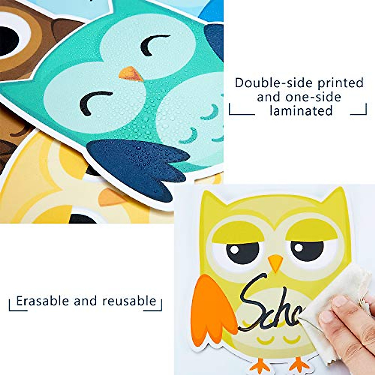Colorful Owls Cutouts for Classroom & Party Decor