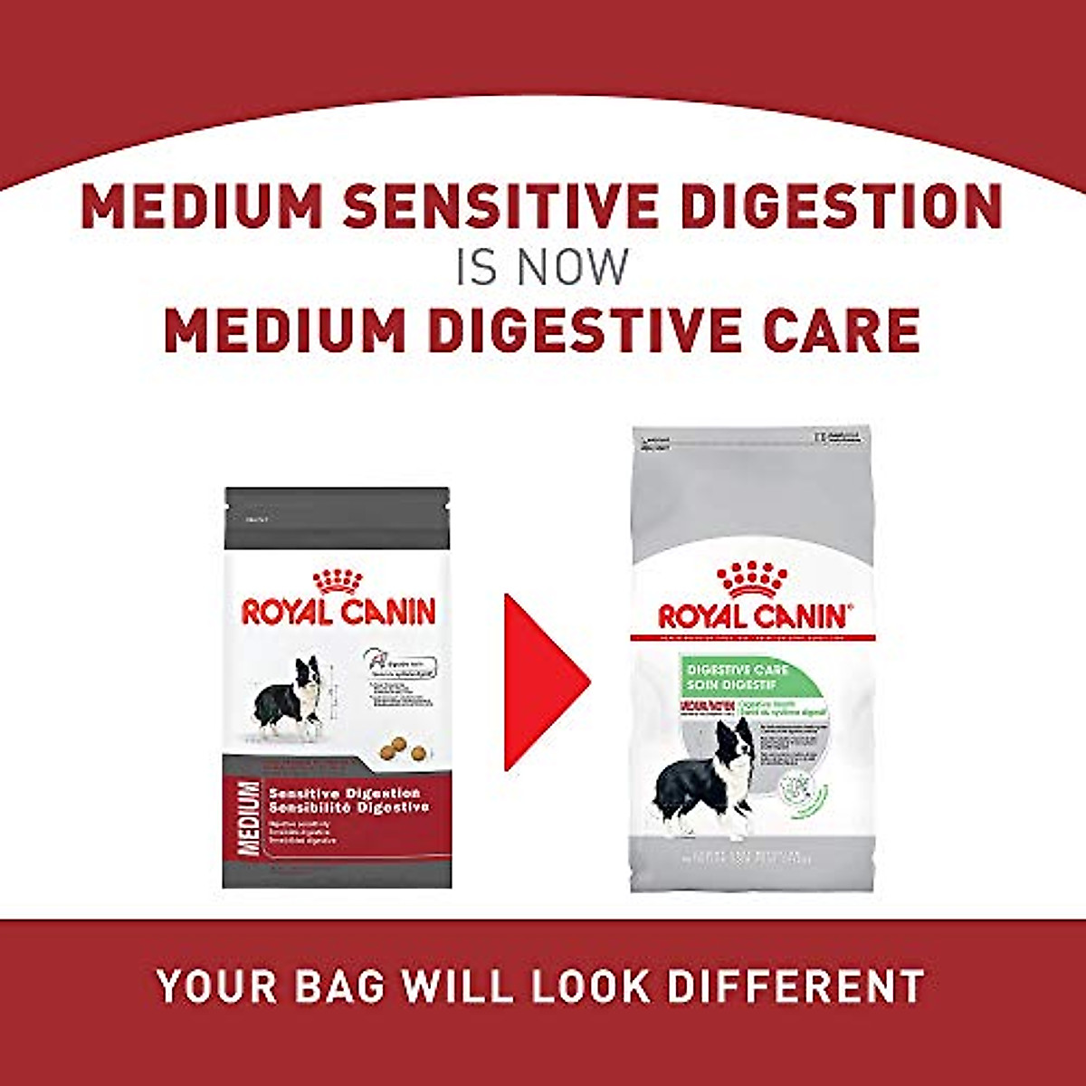 Royal Canin Medium Digestive Care Dry Dog Food, 30 lb bag