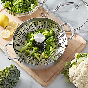 KitchenAid Universal Steamer Basket, 10-Inch, Stainless Steel