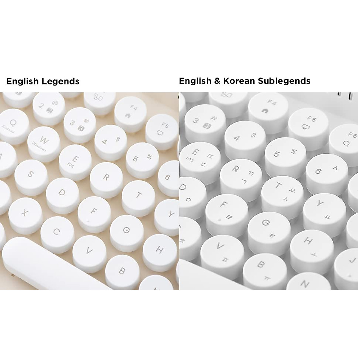 YUNZII ACTTO B303 Retro Bluetooth Typewriter Keyboard (English, Baby Pink),Garden Cats Desk Mat