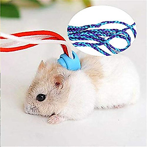 Hamster Leash Small Pet Harness No Harm Nylon Braided Collar Flying Squirrel Other Small Pets for Squirrel Hamster(Blue+Purple)