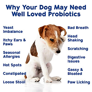 Well Loved Probiotics for Dogs, Dog Probiotics and Digestive Enzymes, Made in USA, Vet Developed, Dog Probiotic Chews with Prebiotics, Diarrhea Treatment, for Itchy Skin, Gut Health & Gas Relief