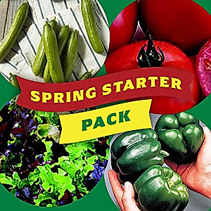 Seeds N Such 1310 Hand Selected Spring Vegetable Garden Seeds | Includes 5 Individually Packaged Seeds Tomatoes, Blue Beans, Cucumbers, Lettuce & Peppers | Untreated & Non-GMO