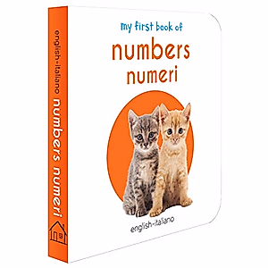 My First English-Italiano Learning Library (la mia prima biblioteca delle parole Inglese-Italiano): Boxset of 10 English - Italian Board Books (English and Italian Edition)