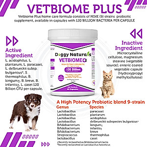 Vetbiome + High Potency Probiotics for Pets (40 Capsules) Made in U.S.A - NO Refrigeration Required !! (40 Caps (1 Pack))