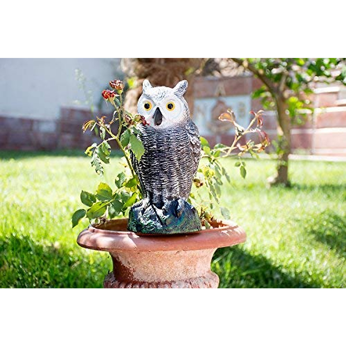 BRITENWAY Ultimate Scarecrow Owl Decoy Statue Realistic Fake Owl Outdoor Bird Deterrent, Hand-Painted Garden Protector, Scares Away Squirrels, Pigeons, Rabbits & More 10,5” Hollow Design