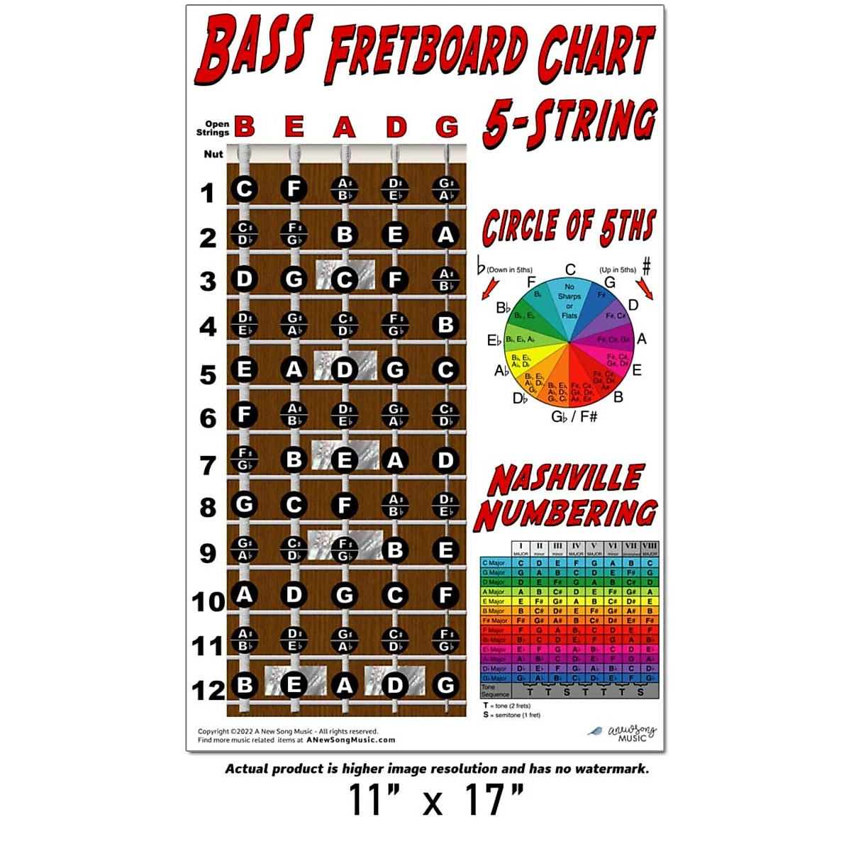 5 String Bass Fretboard Poster - Nashville Numbering System, Circle of 5ths, Notes Instructional Chart | A New Song Music | 11x17