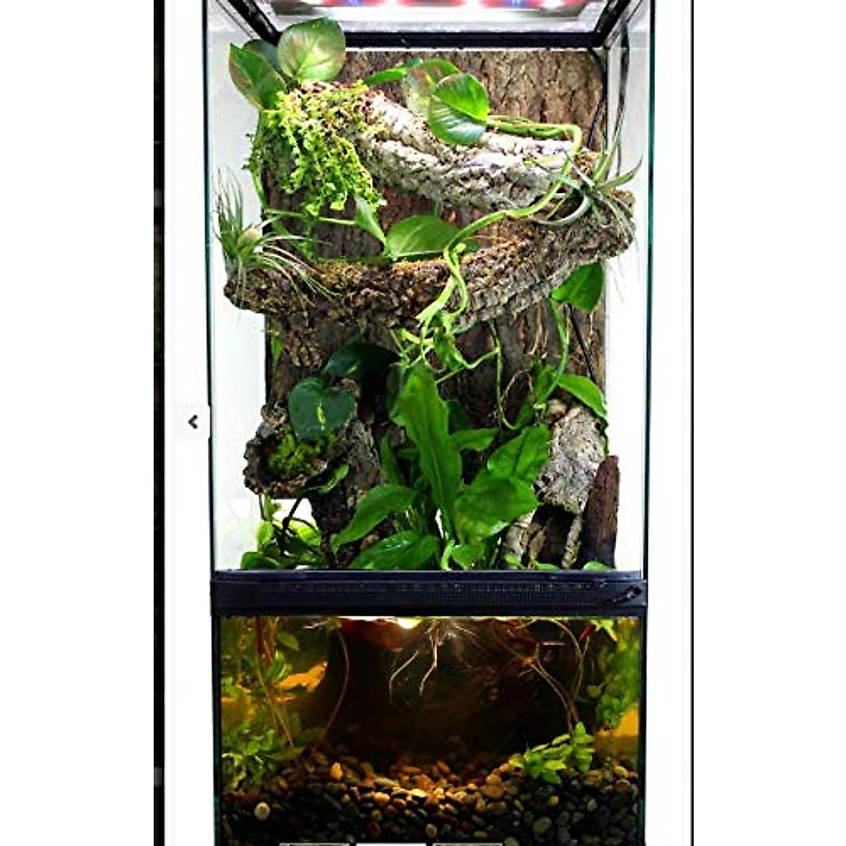 Zoo Med Paludarium Habitat Kit - 12" x 12" x 24"