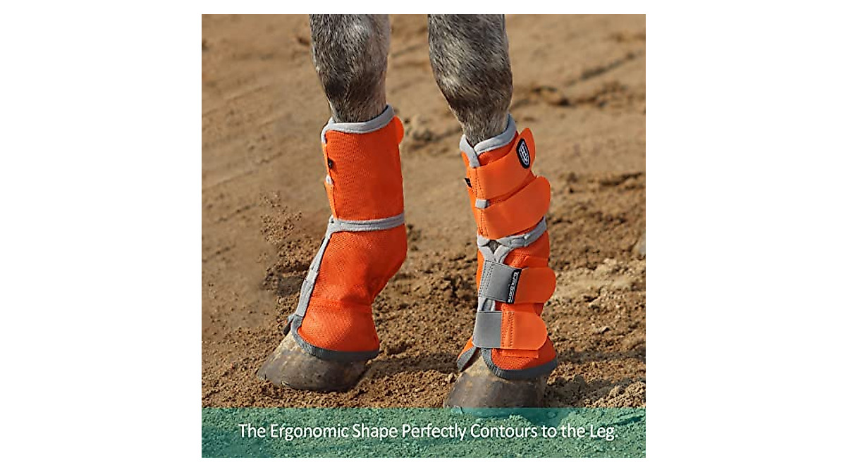 Harrison Howard Horse Fly Boots Perfect Contoured Fit Leg Guards Dense ...