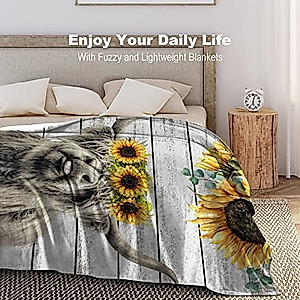 rumwall Highland Cow Blanket Sunflower Cow Flannel Throw Blanket for Living Room Couch Bed Sofa Kids Adults All Seasons 50"X40"