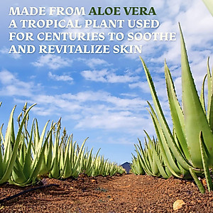 Amazing Aloe Vera Gel - Freshly Cut, 100% Pure Aloe, Premium Quality, Vegan, Unscented - Natural Sunburn Relief, After Shave, Skin, Face & Hair Care 8oz