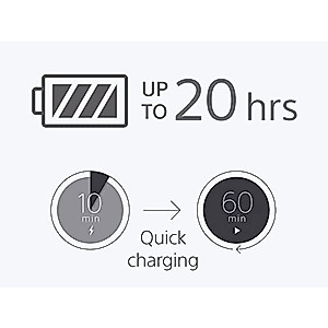 Sony WF-C500 Truly Wireless in-Ear Bluetooth Earbud Headphones (Renewed)