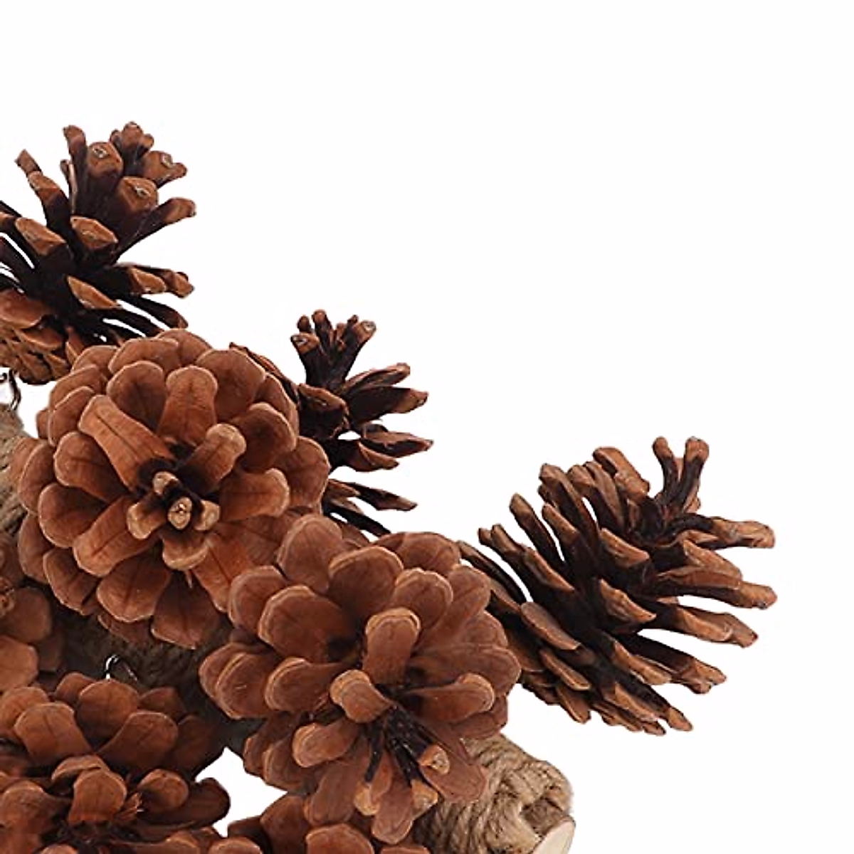 Parrots Pine Cone Chewing Toy, Hamster Chew Toys Hanging Wooden Pine Cones Bird Cage Funny Chewing Toy for Parakeet Cockatiel Grey Lovebirds Budgies Cockatoos(S)