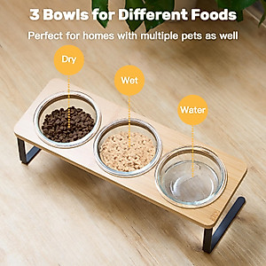 Lawfery Elevated Cat Bowls, 15° Tilted Cat Food Bowl, Includes 3 Glass Cat Bowls, Bamboo Board, and Metal Stand for Cats and Puppies