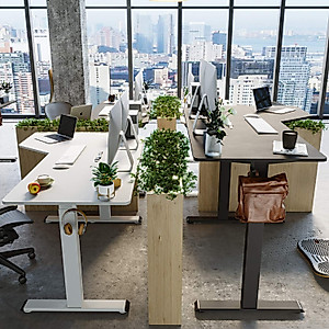 BANTI 55 Inches L-Shaped Electric Standing Desk, White Top/White Frame Height Adjustable Stand up Table, Home Office Sit to Stand Desk with Splice Board