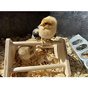 Mini Chick Roosting Perch (2 Pack) Chicken Toys for Coop and Brooder for Baby Chicks El Pollitos La Pollita Pollos Gallinas Polluelos