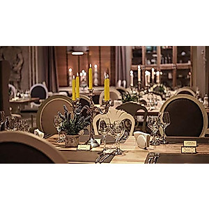 Hyoola Beeswax Taper Candles 12 Pack – Handmade, All Natural, 100% Pure Scented Bee Wax Candle - Tall, Decorative, Golden Yellow – 6 Hour Burn Time