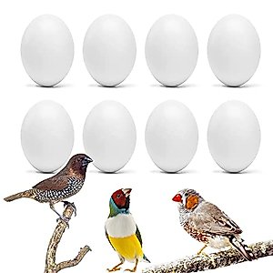 WOLEDOE 8Pcs Fake Bird Eggs, Stop Egg Laying fit Finch, Zebra, Gouldian, Artificial Eggs 12mm*17mm