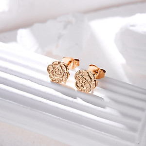 VOJO Implant Grade G23 Titanium Stud Earrings for Sensitive Ears Post Pierced Cartilage Lobe Earring Stud for Women (Rose Gold)